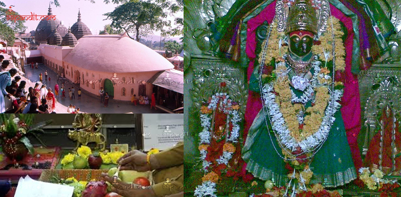 Pandit for Bhuvaneshwari Devi Puja: Cost, Vidhi & Benefits